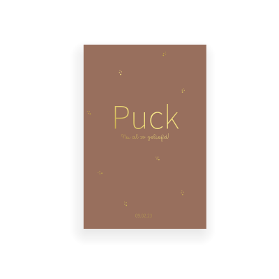 Geboortekaartje dochter met rood roest kleur en folie stipjes